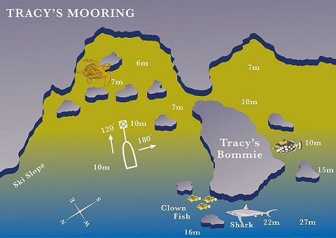 Great Barrier Reef Dive Site Maps | Pro Dive Cairns | Australia