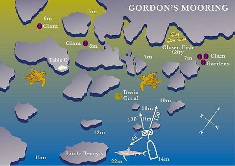 Great Barrier Reef Dive Site Maps | Pro Dive Cairns | Australia