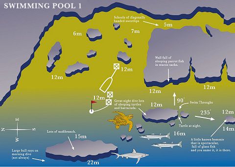 Great Barrier Reef Dive Site Maps | Pro Dive Cairns | Australia